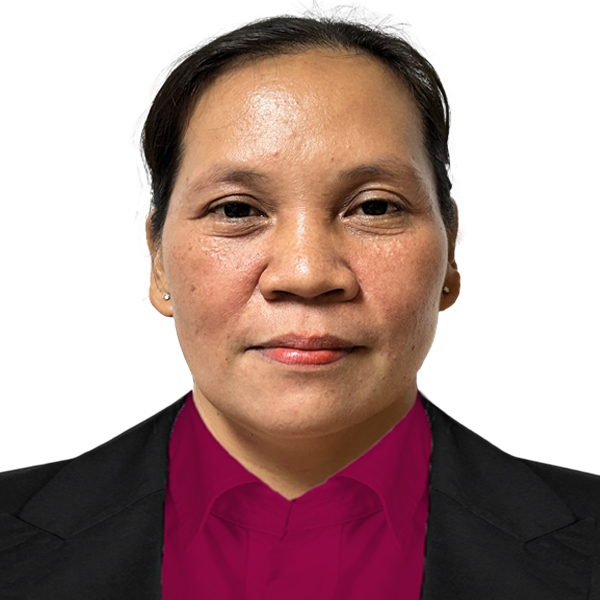 بلاتنيوم - تفاصيل العاملة